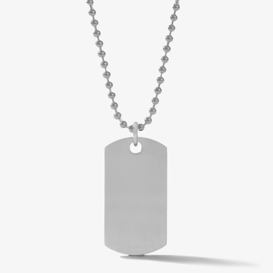 Safe T Rex Engraved Medical ID Dog Tag | Lauren's Hope